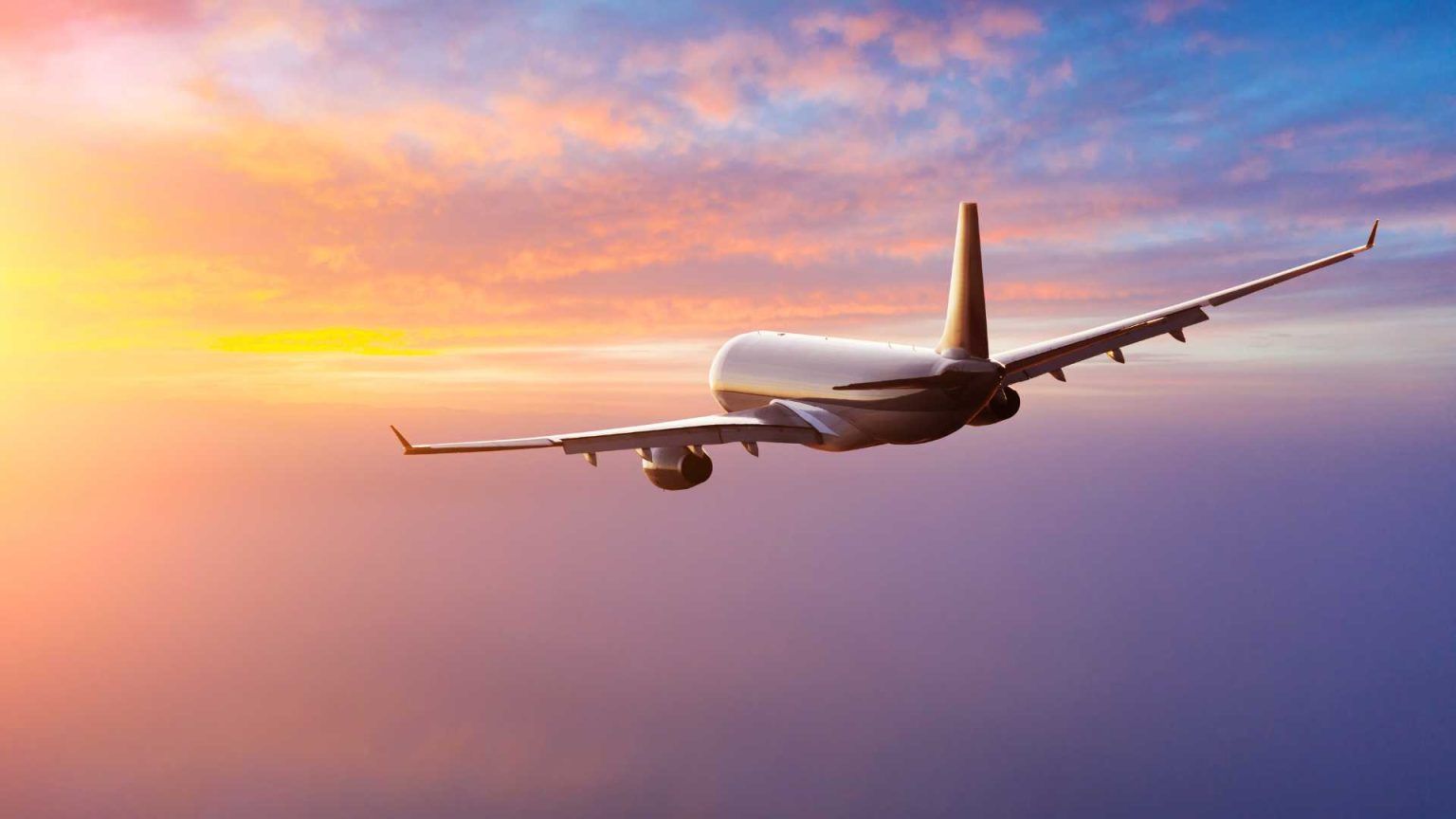 Traslado de corpos: principais informações sobre o procedimento - Grupo ...